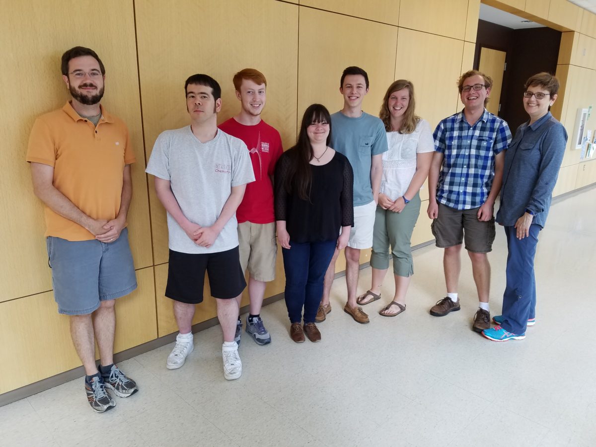 Summer 2017 Research Group – Environment Analytics